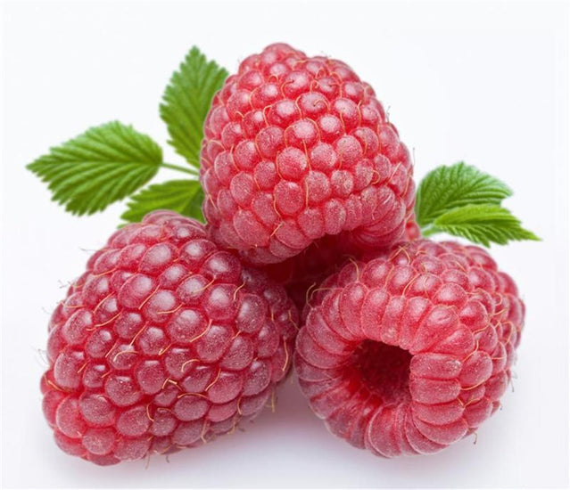 Pedicure Spotlight: Raspberry Sorbet – Pure Spa Direct