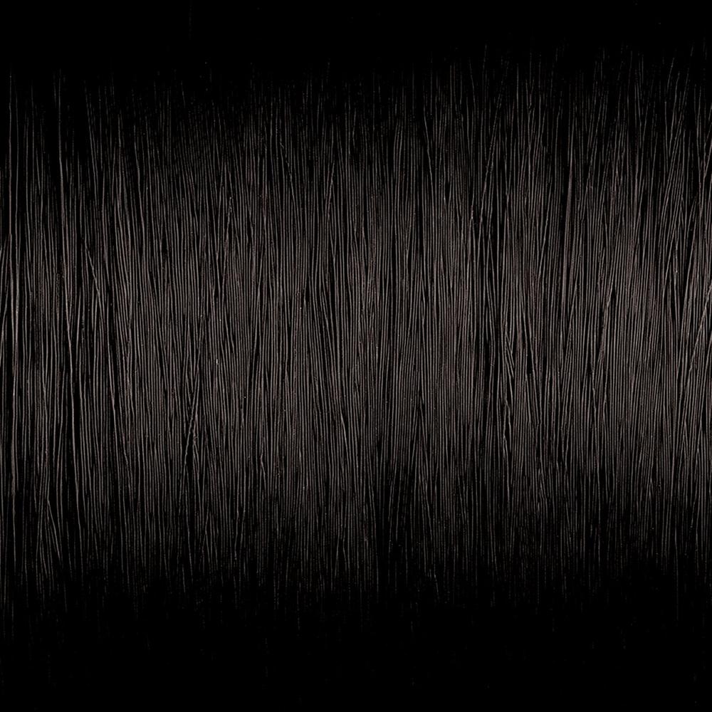 LumiShine YouthLock Permanent Creme Color - 2NN (2.00) - Natural Natur ...